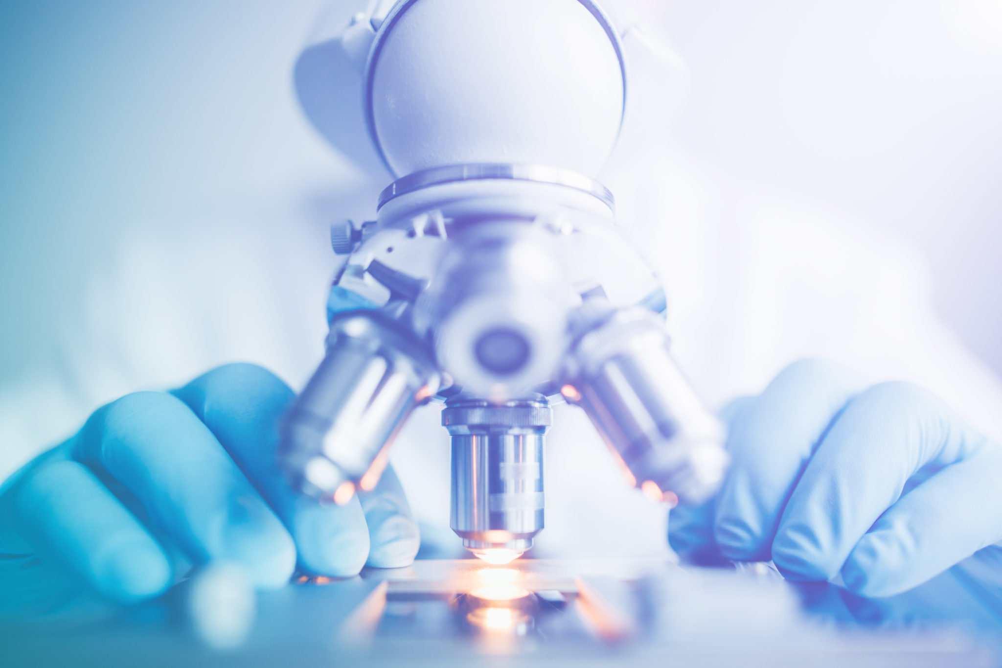 Laboratory - Beacon Hospital